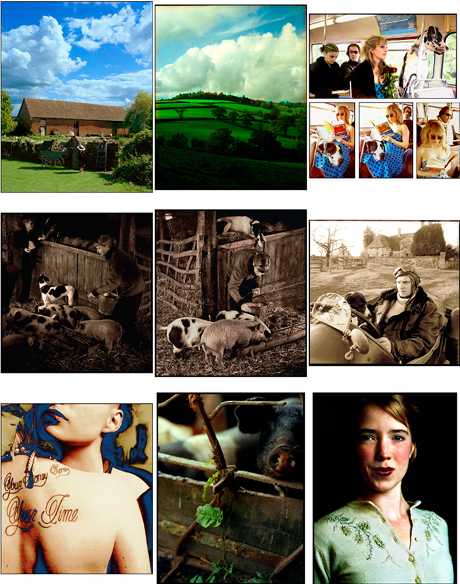 Photography Portfolio - Nicholas Murray Photography